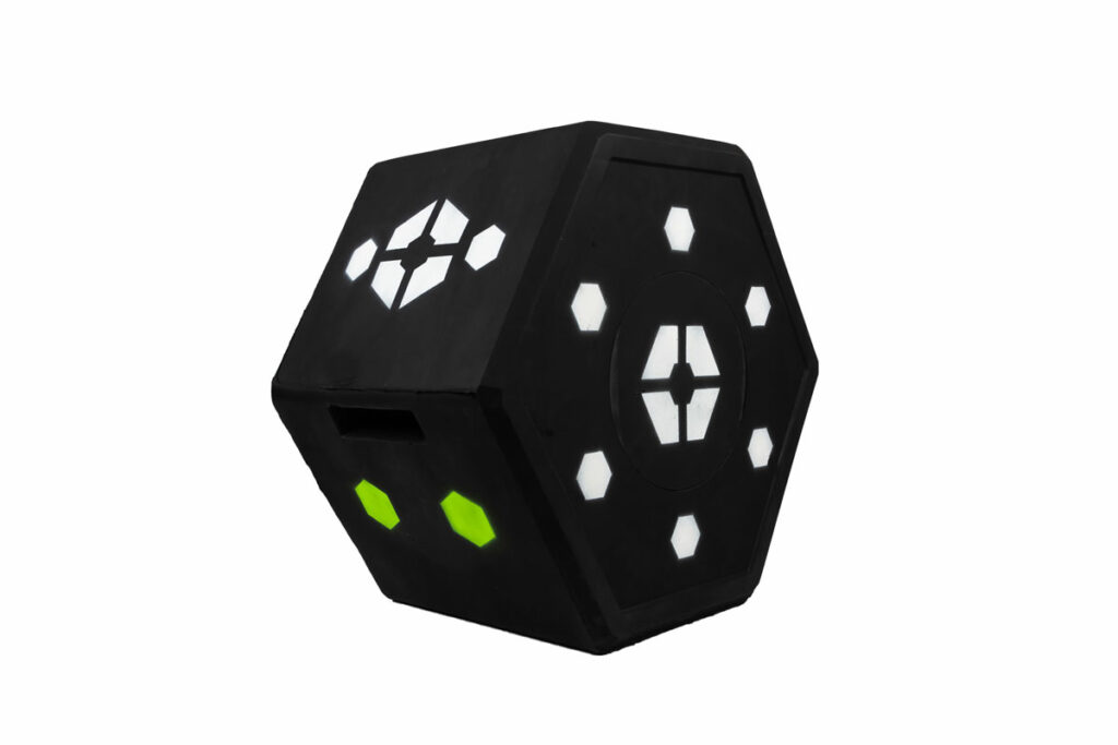 Backyard archery targets - Delta McKenzie